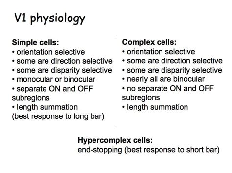 Perception Lecture Notes Lgn And V1
