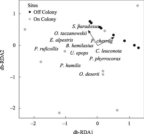 Plot Of The Partial Distance Based Redundancy Analysis Partial Db Rda Download Scientific
