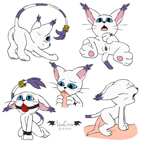 Rule 34 Anthro Anthro On Human Ass View Blowjob Digimon Digimon Species Domestic Cat Feline