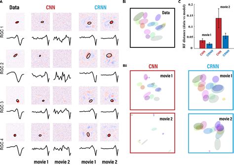 Unraveling Neural Coding Of Dynamic Natural Visual Scenes Via Convolutional Recurrent Neural