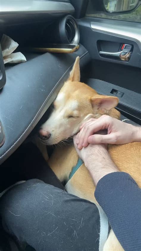 我只是停好車坐在車上 啥也還沒做 就哭成這樣