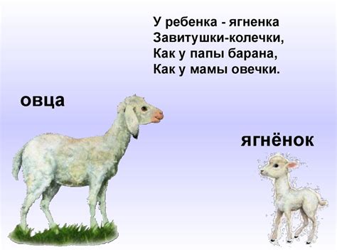 Домашние животные и их детеныши презентация онлайн