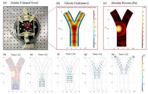 Micromachines Free Full Text Ultrasonic Manipulation Of Hydrodynamically Driven