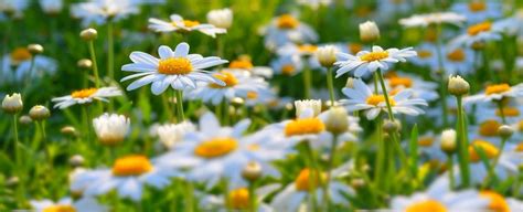 Привітання міського голови з Днем секретаря Новини Баштанська