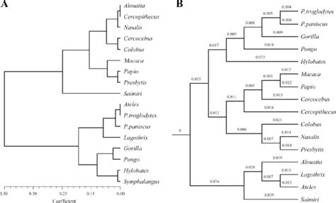 a functional similarity tree b phylogenetic distance tree download scientific diagram