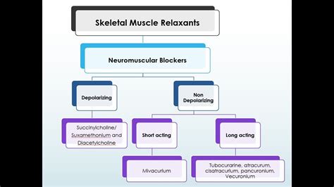 Neuromuscular Blockers Depolarizing Vs Non Depolarizing Blockers Youtube