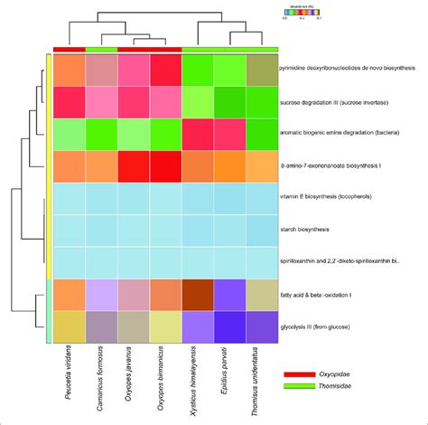 Bar Plot Based On Picrust2 Analysis To Predict The Functional