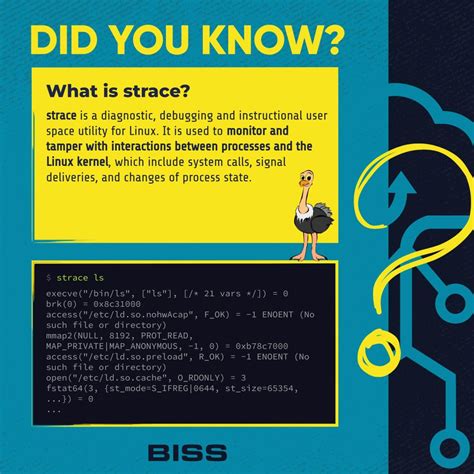Bosphorusiss On Linkedin Didyouknow Linux Strace