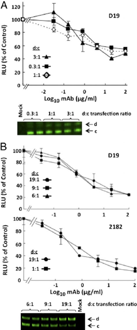 Effects Of Varying The Ratios Of Transfected Env Constructs C And D On