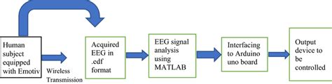 a real time acquisition and cognitive examination of eeg indicator at