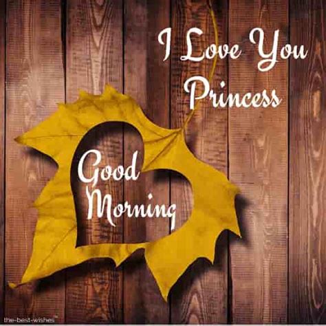 101 Good Morning Princess Images And Messages Best Wishes