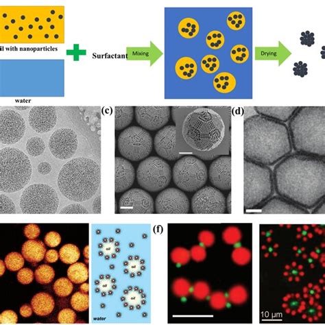 Self Assembly Of Colloidal Nanoparticles Into Clusters Patterns And