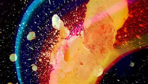 In Rainbows Plugged In