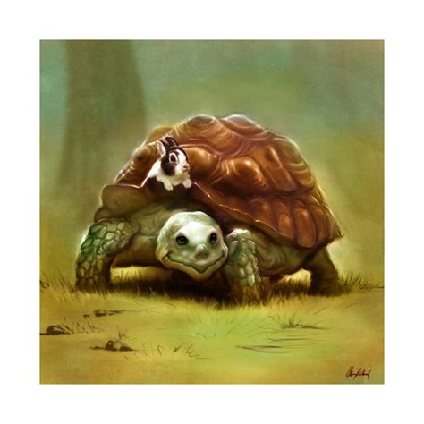 Turtle And Bunny Turtles T Shirt Teepublic