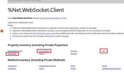 using net websocket client intersystems developer community