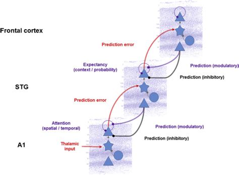 contextual factors and hierarchical message passing this schematic