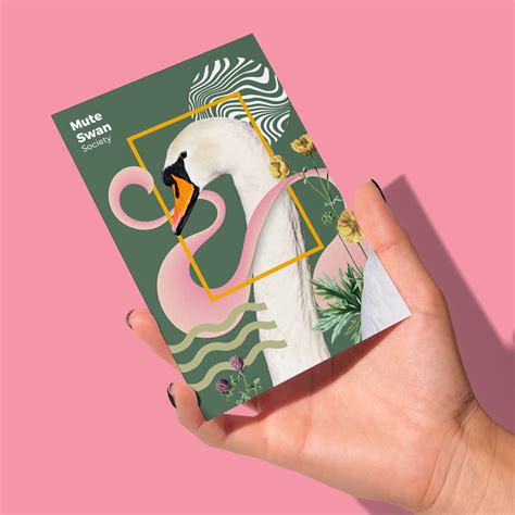 mute swan society dyer and duman