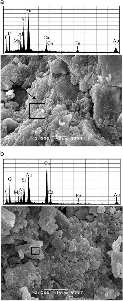 sem photos and microprobe analyses marked by squares a thin