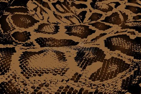 Python Stock Illustrations 29 000 Python Stock Illustrations Vectors Clipart Dreamstime