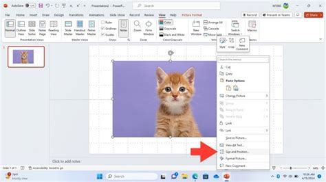 Crop Two Images To Same Size In PowerPoint Step By Step Guide MyExcelOnline