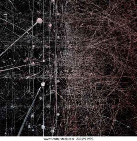 Abstract Image Describe Neural Networks Bright AI Generated Image Shutterstock