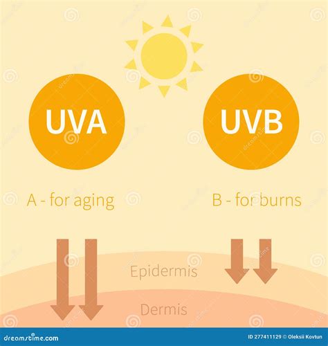Uva And Uvb Sun Rays Ultraviolet Rays Flat Simple Inforgaphics Stock