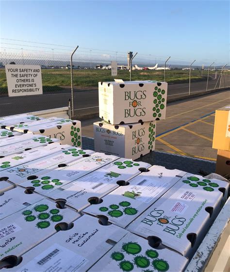 bugs for bugs on linkedin with warmer weather on its way our field