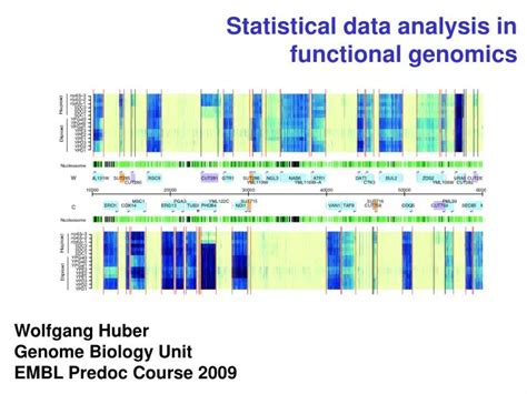 ppt statistical data analysis in functional genomics powerpoint