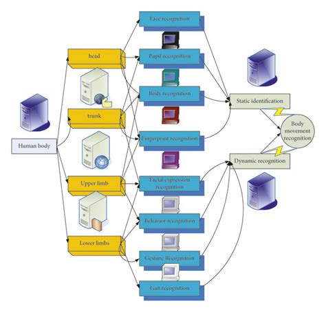 Body Movement And Recognition Classification Download Scientific Diagram