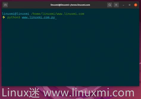 Python 超酷终端进度条 Linux迷