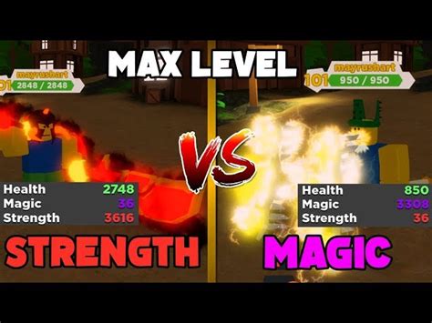 Beginner S Guide To Roblox Treasure Quest