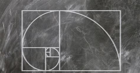 5 Lugares Onde é Possível Identificar A Sequência De Fibonacci