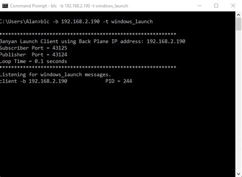 Tutorial Using The Banyan Launcher Python Banyan