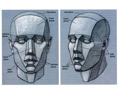 Anatoref — Planes Of The Face Row 1 Row 2 Lleft Right And 3