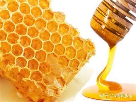 打击养老诈骗 蜂胶有医用疗效罚 知乎