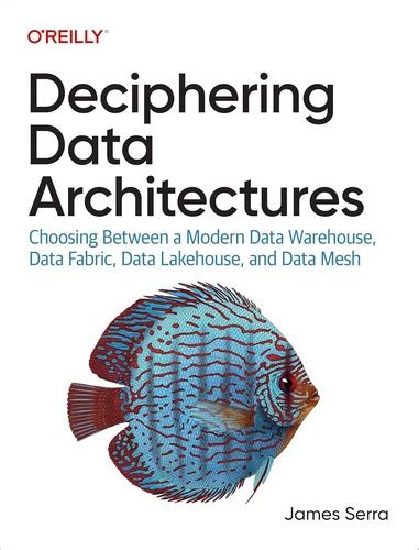 Oreilly Deciphering Data Architectures Paperback Ebay