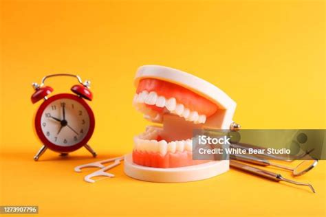 색깔의 배경에 치아 와 치과 기기 및 치과 치료 제품의 모델 0명에 대한 스톡 사진 및 기타 이미지 0명 강철 거울 Istock