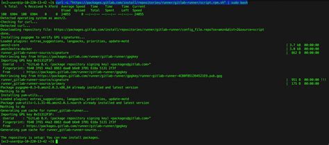 关于amazon Eks基于gitlab的cicd实践一 Gitlab的部署和配置篇 亚马逊aws官方博客