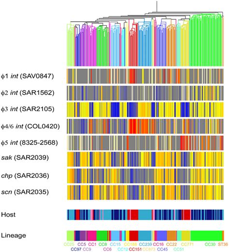 Microarray Data From 254 S Aureus 198 Human Isolates And 56 Animal