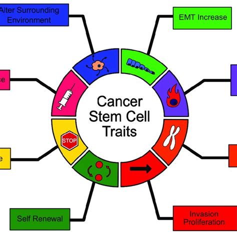 Summary Of Cancer Stem Cell Traits Download Scientific Diagram