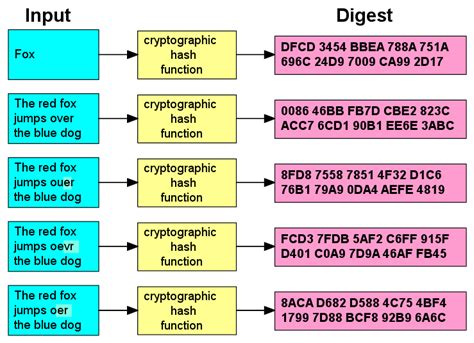 Hashes And Integrity