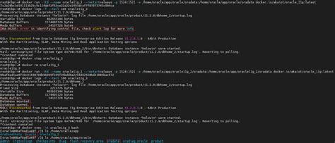 Docker 安装 Oracle 11g 伦少的博客