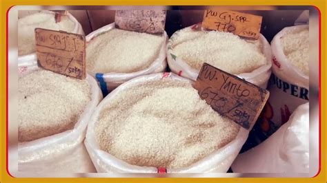 Tlt Tv စပါးစိုက်ပျိုးရာမှာ ကူညီပေးဖို့ အင်ဒိုနီးရှားစစ်တပ်ကို တောင