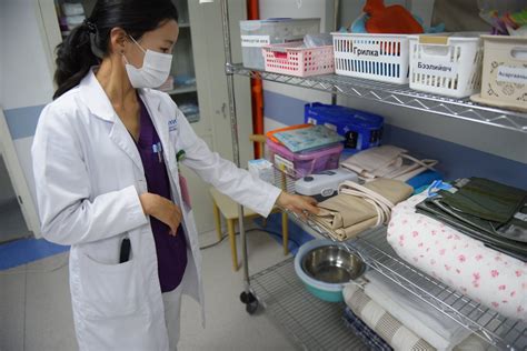 Улсын Хоёрдугаар төв эмнэлэгт харвалтаас сэргийлэх үзлэг хийж байна