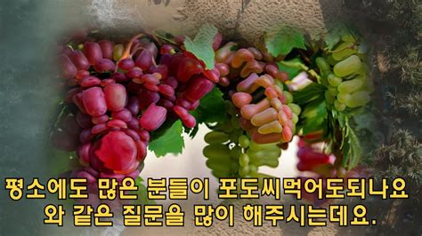 평소에도 많은 분들이 포도씨먹어도되나요 와 같은 질문을 많이 해주시는데요 그리고 포도씨의 효능에는 무엇이 있는지 알려 드릴게요 Youtube