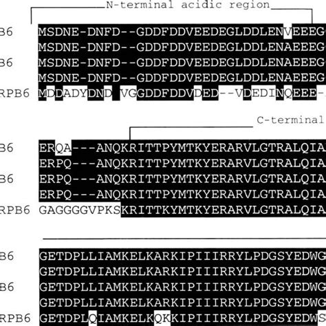 Clustal W Multiple Sequence Alignment Results Of The Predicted Chick