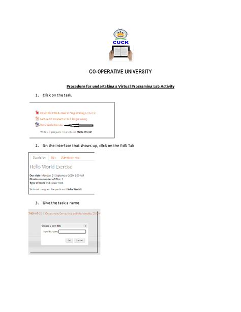 Procedure For Undertaking A Lab Activity Introduction To Programming In C Exam Studocu