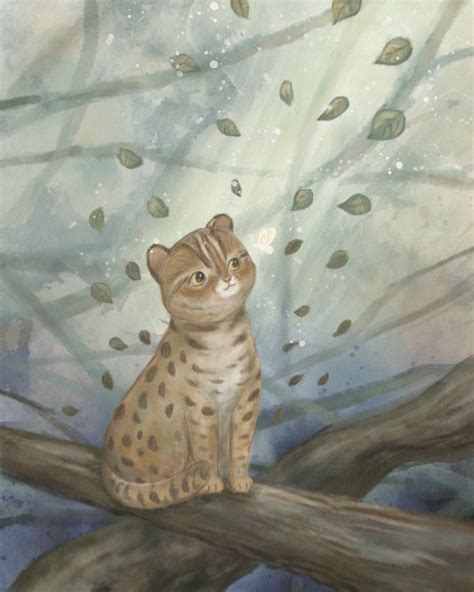 石虎與小蝴蝶Leopard cat and the butterfly 倏忽空間MomentSpace