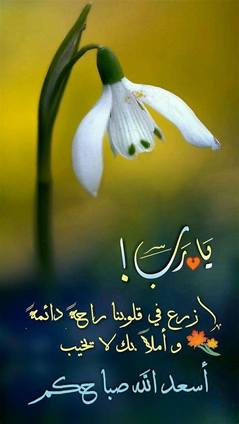 Pin By Jalalalassadi On صباح الخير2 Good Morning Cards Good Morning