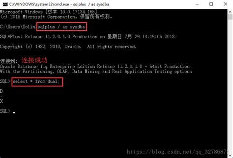 Windows10下安装oracle 11goracle支持windows环境吗 Csdn博客